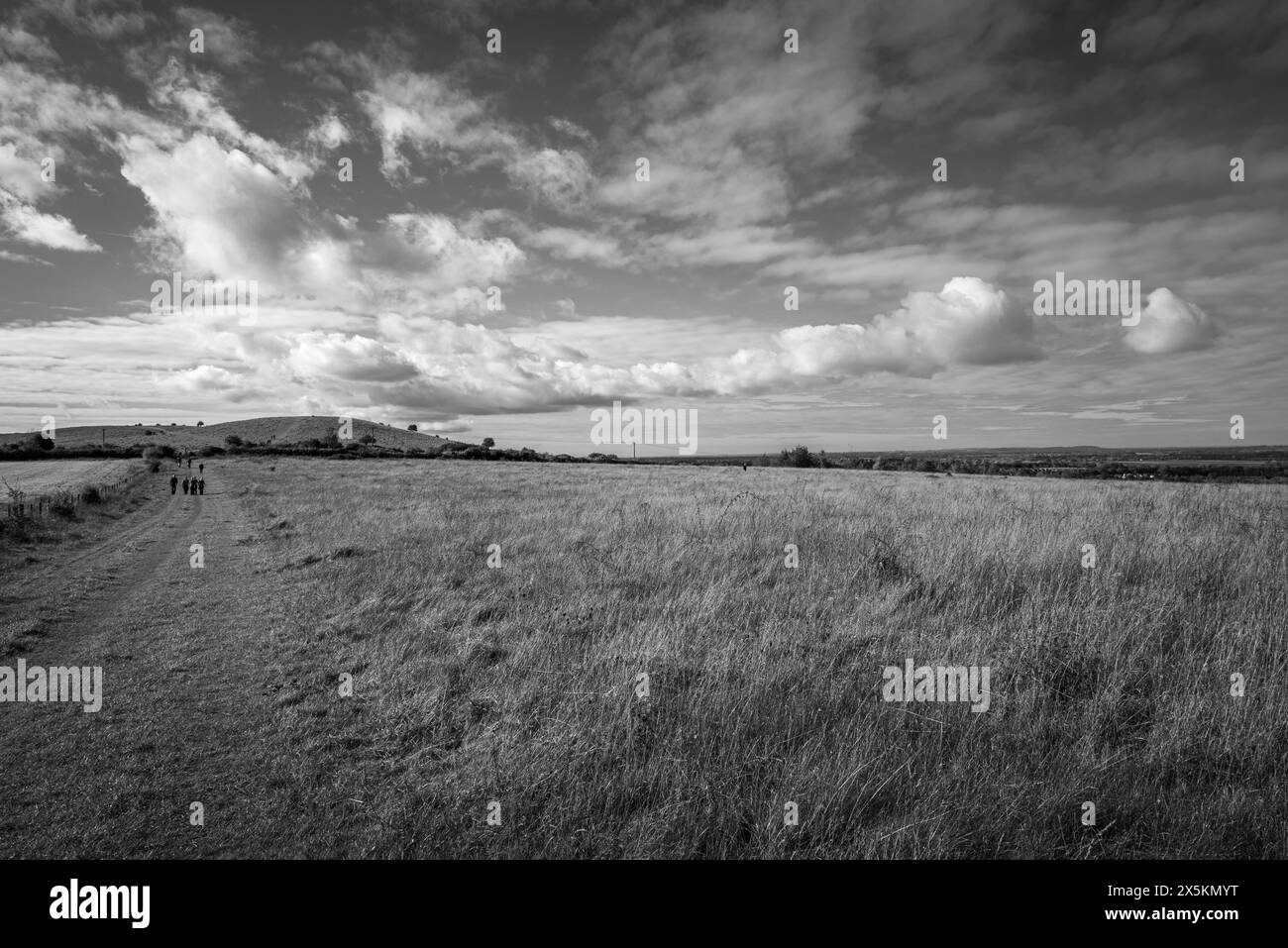 Walking across the field Black and White Stock Photos & Images - Alamy