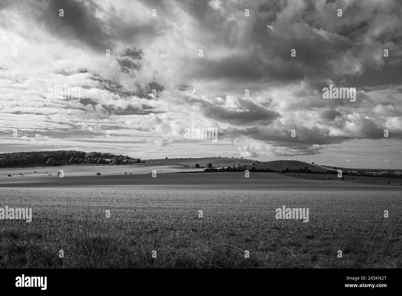 Nature landscape Black and White Stock Photos & Images - Alamy