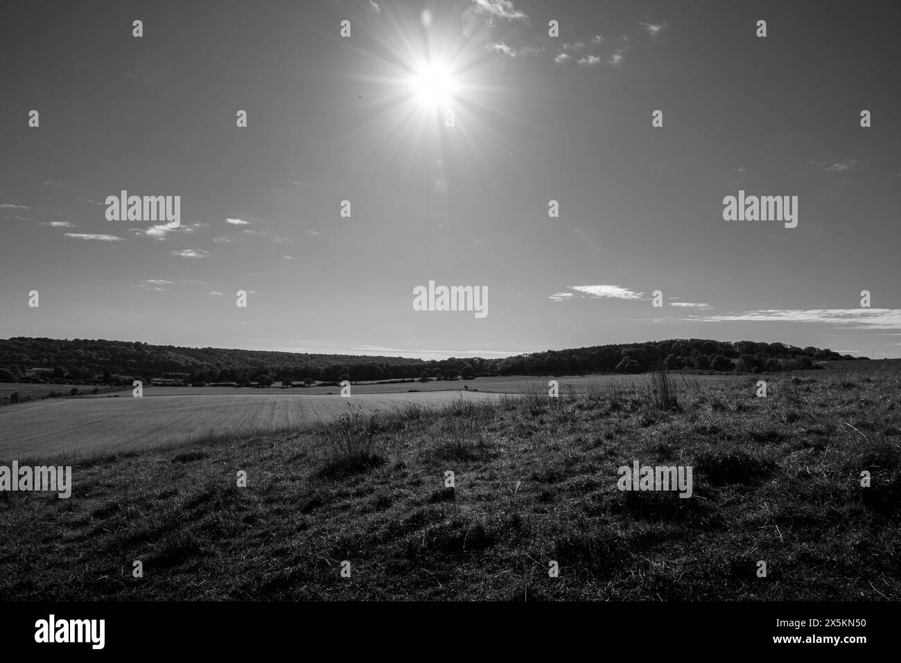 Rolling grass Black and White Stock Photos & Images - Alamy