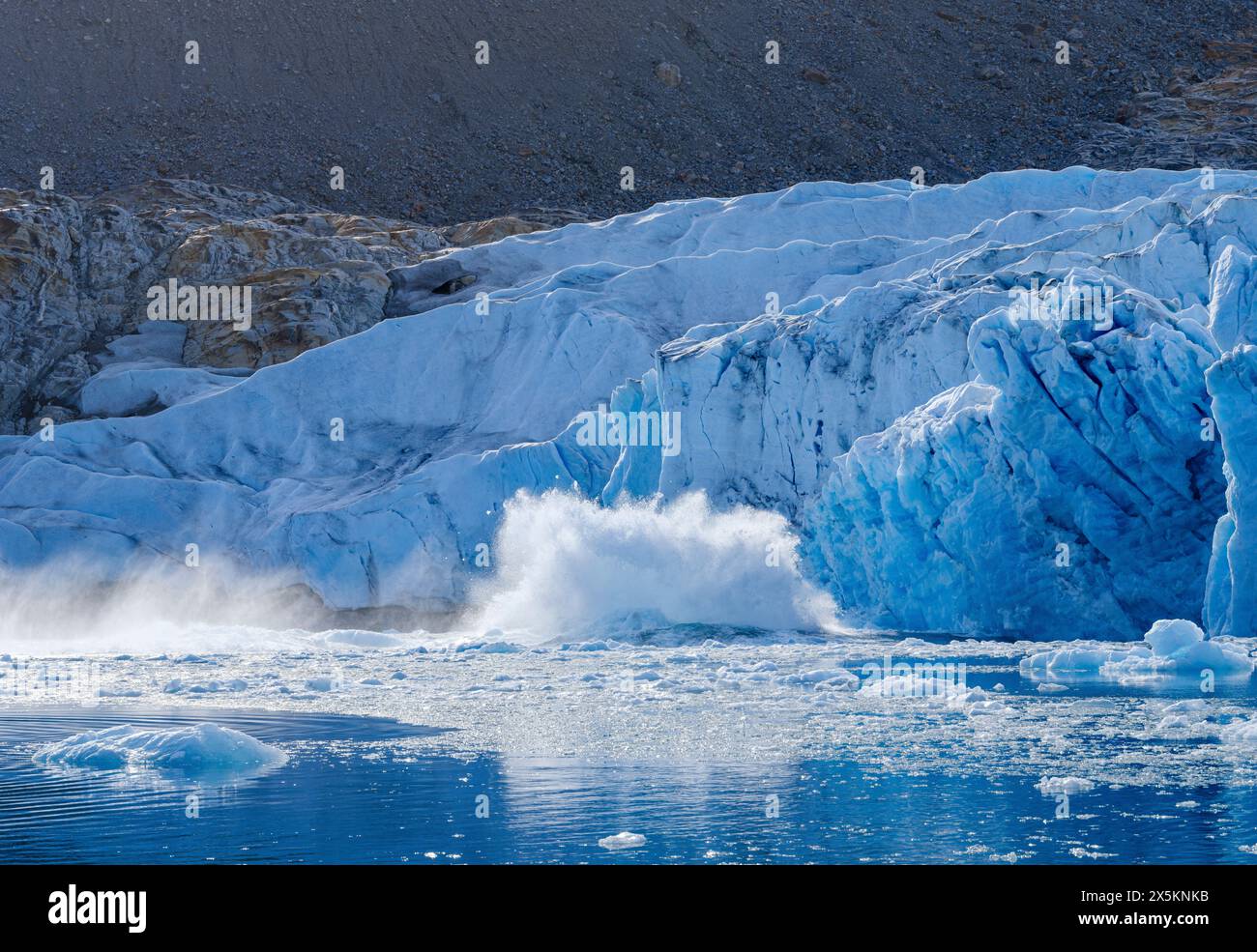 Calving of an iceberg at Bruckner Glacier with view of lateral moraine ...