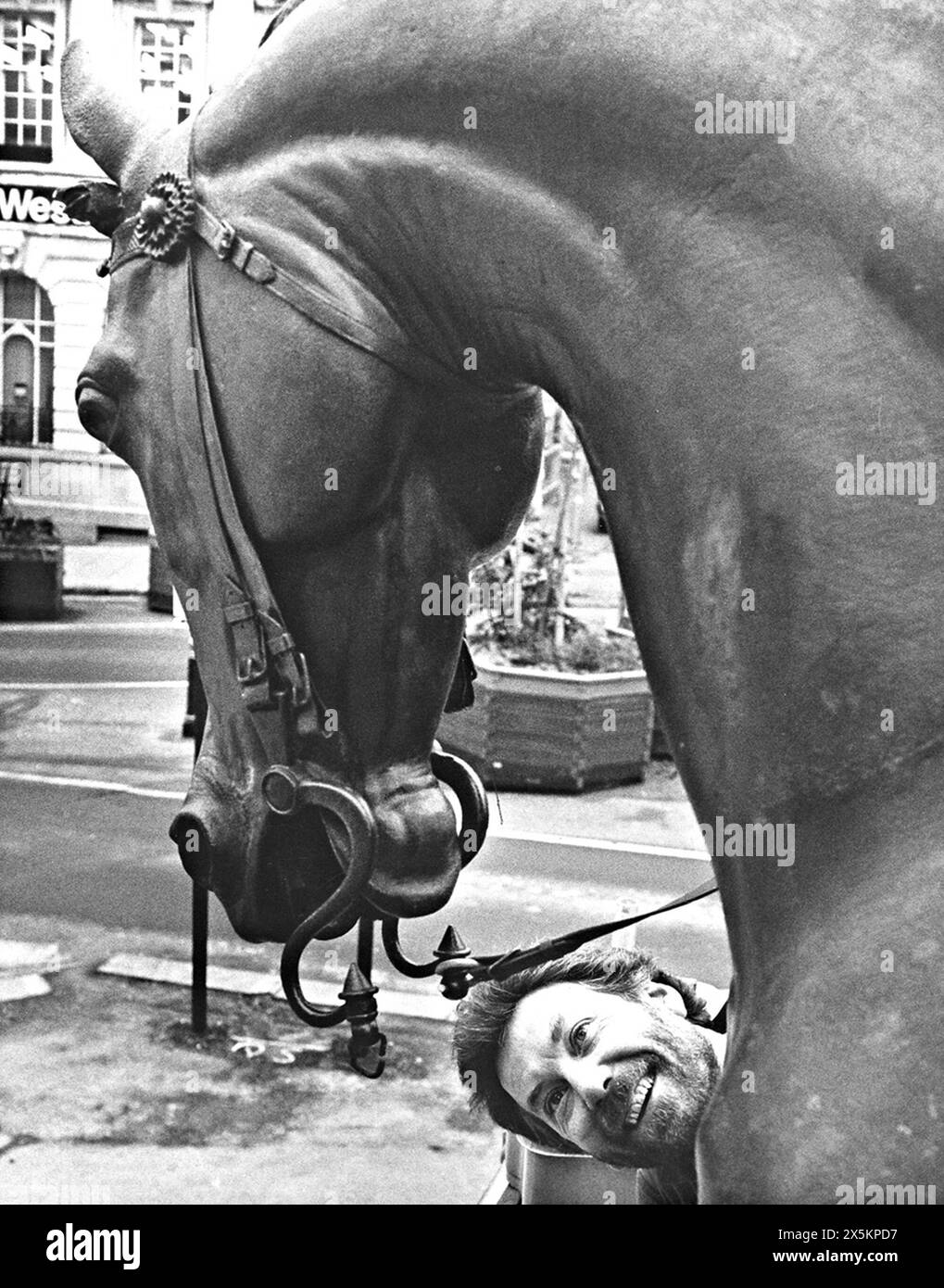 Conservationist Nick Morris restoring the reins of Prince Albert's ...