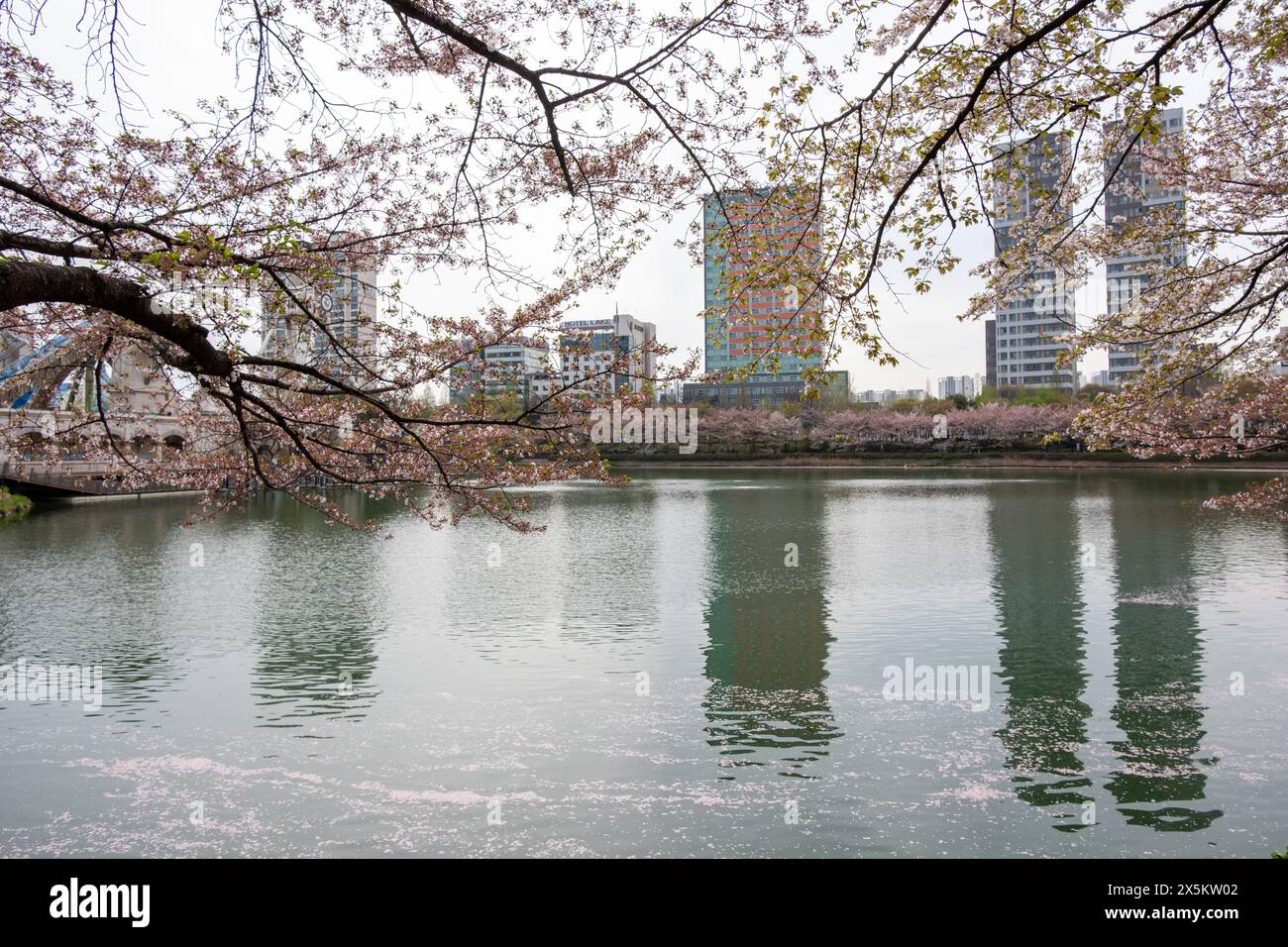 Seoul, South Korea - 4 April 2023: View of Seokchon Lake Park. It is ...