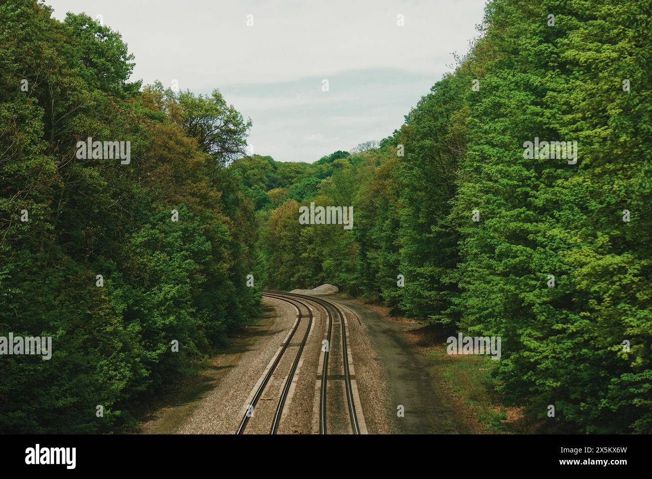 Railroad tracks in forest no people hi-res stock photography and images ...