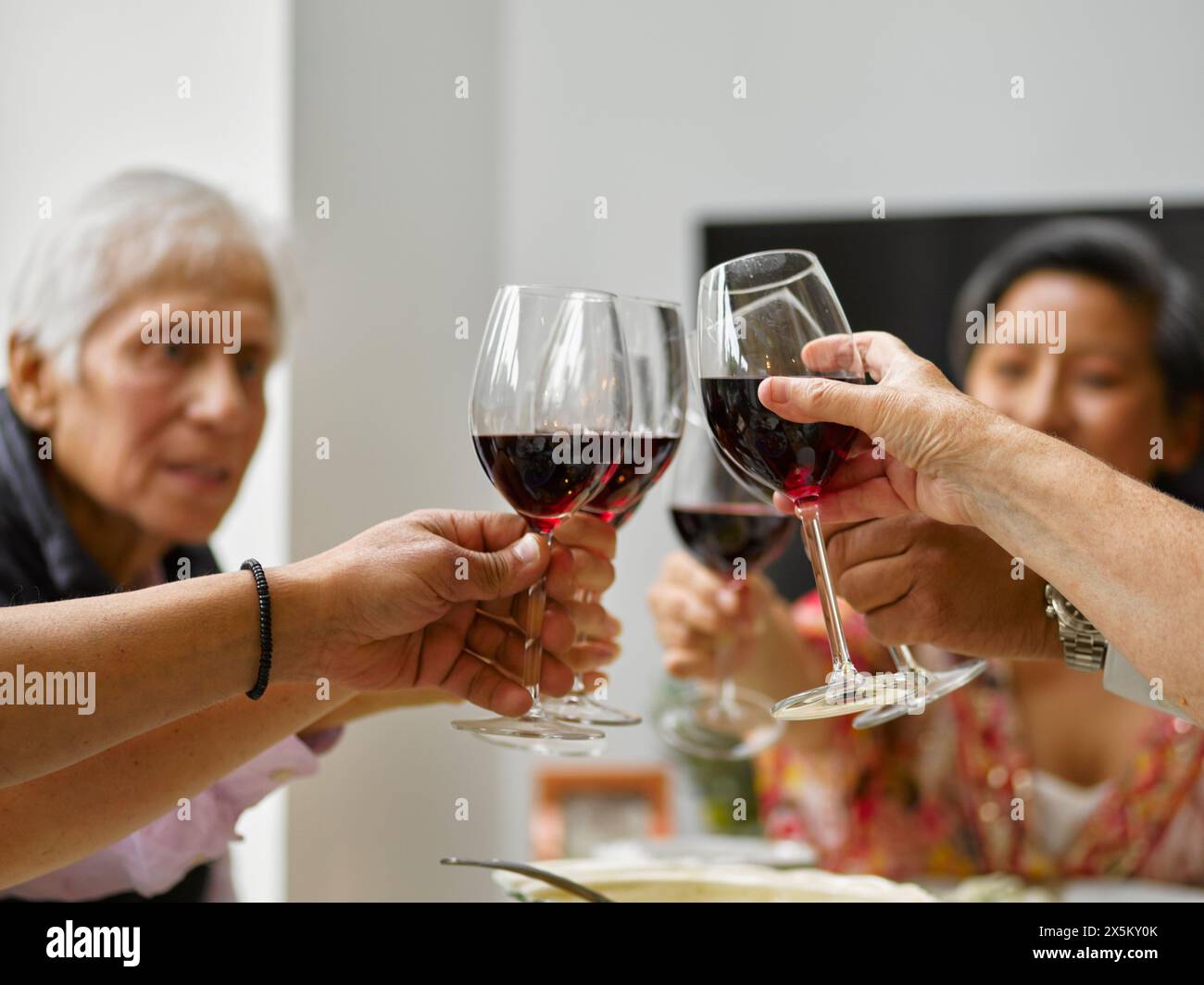 Family toasting with red wine Stock Photo - Alamy
