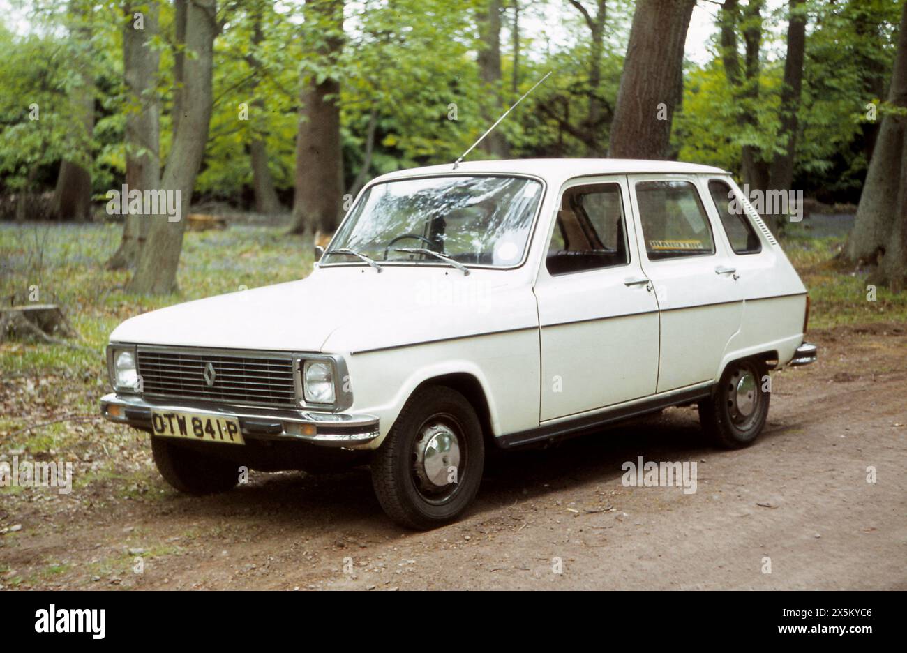 White Renault 6 in woodland forest Stock Photo - Alamy