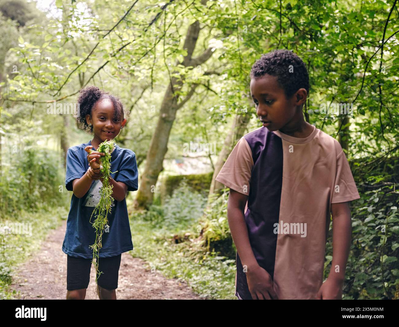 Two boys in forest hi-res stock photography and images - Alamy