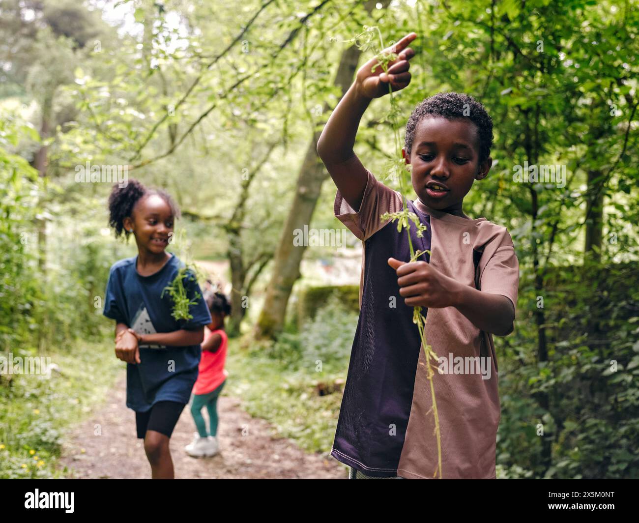 Group girls playing forest hi-res stock photography and images - Alamy