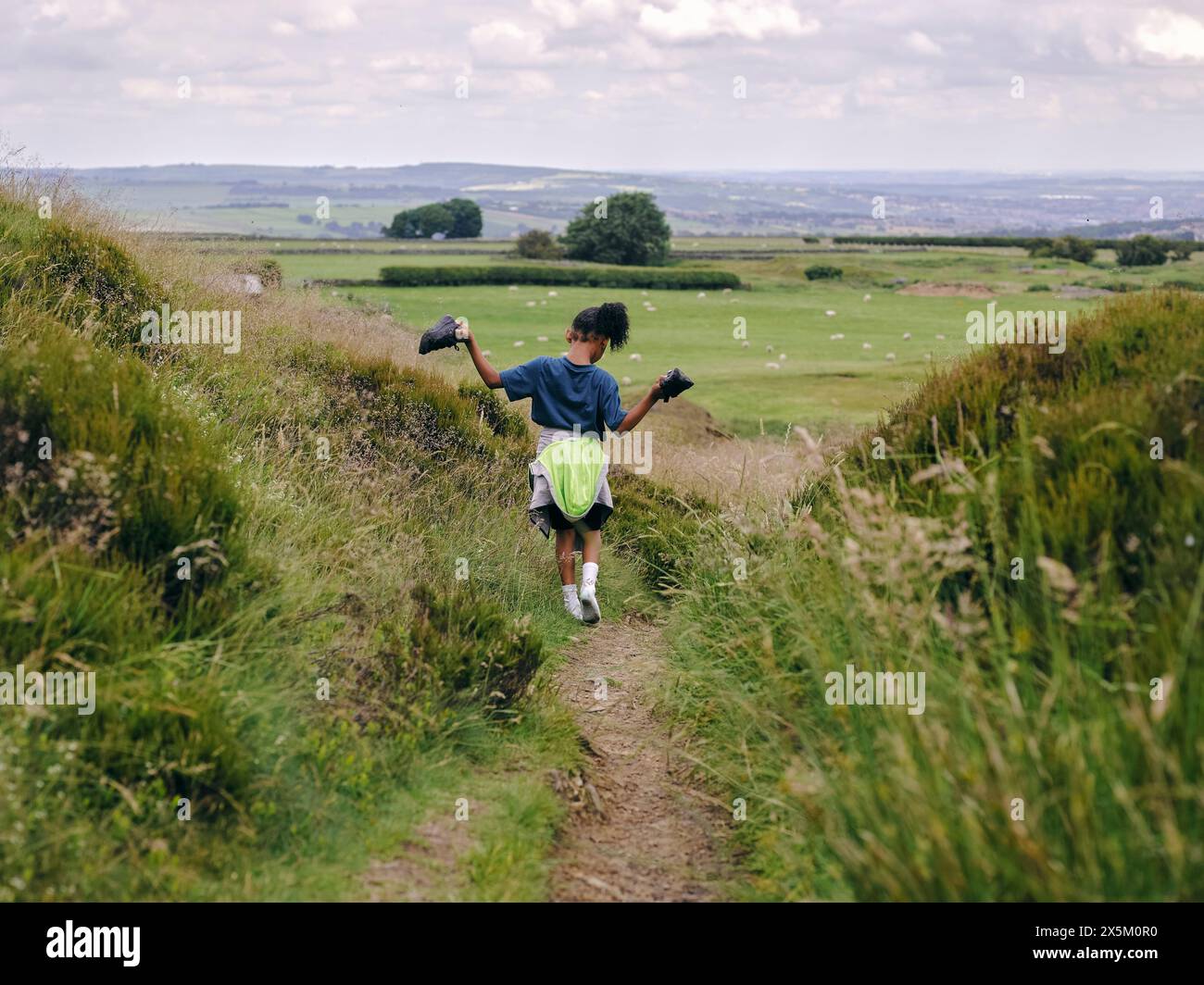 Walking path among nature hi-res stock photography and images - Alamy