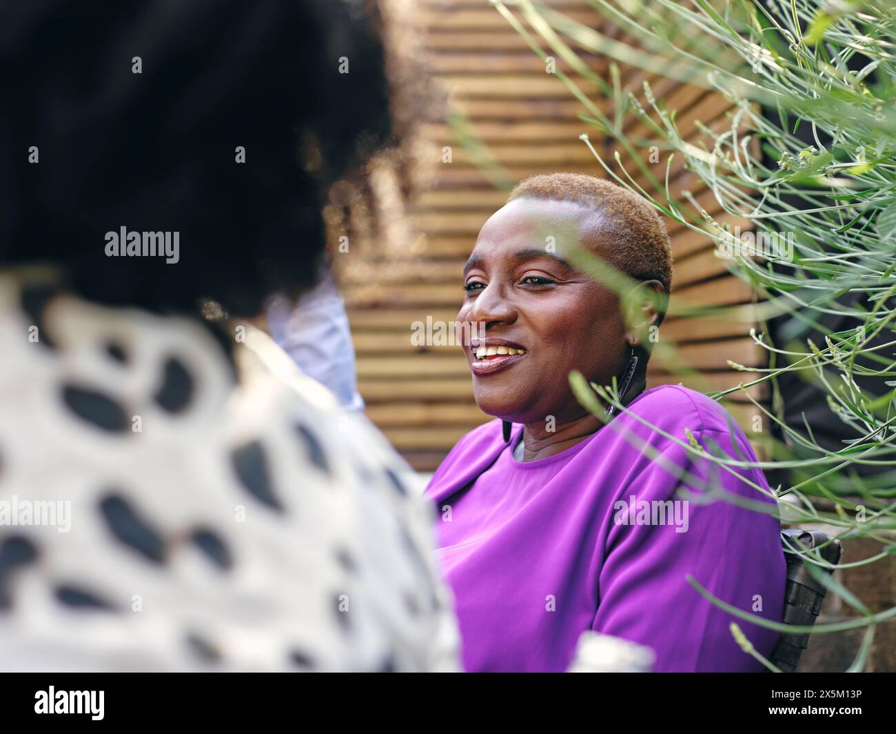 Group mature adult friends talking hi-res stock photography and images ...
