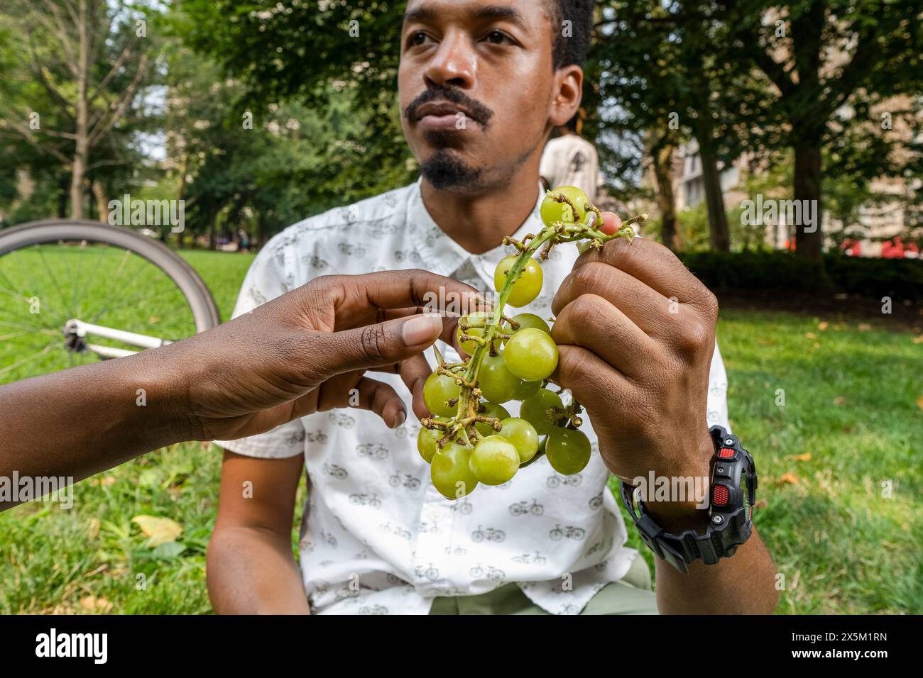 Black grapes man hi-res stock photography and images - Alamy
