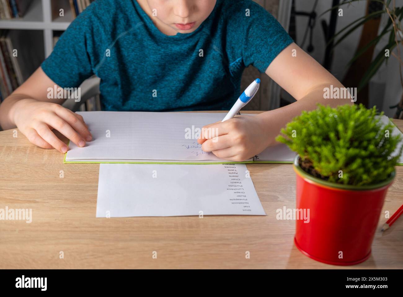 schoolchild doing homework, copying words English, child writes in ...