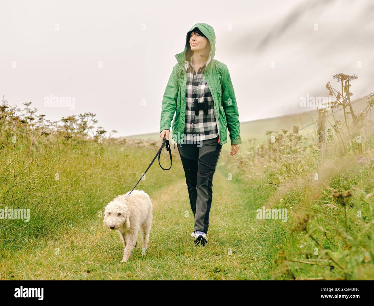 Hiking with dog uk hi-res stock photography and images - Alamy