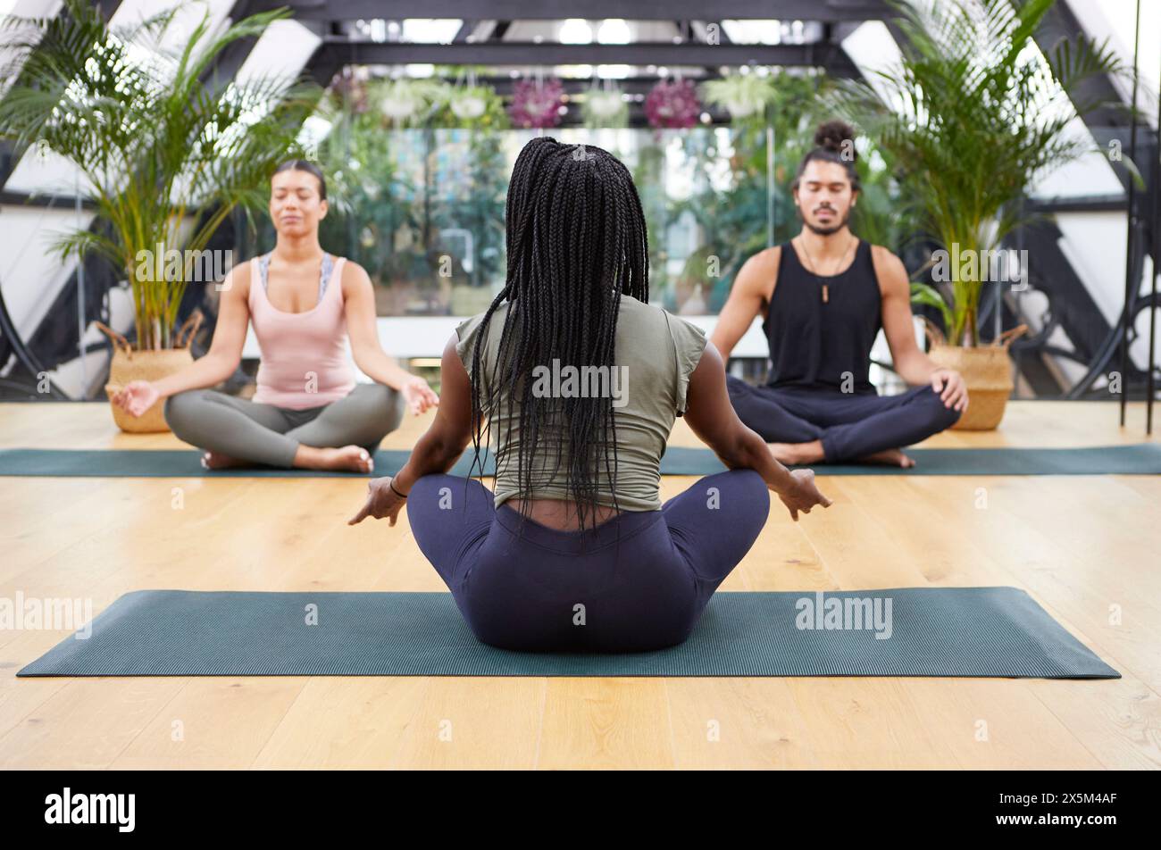 Practicing yoga group people sitting hi-res stock photography and ...