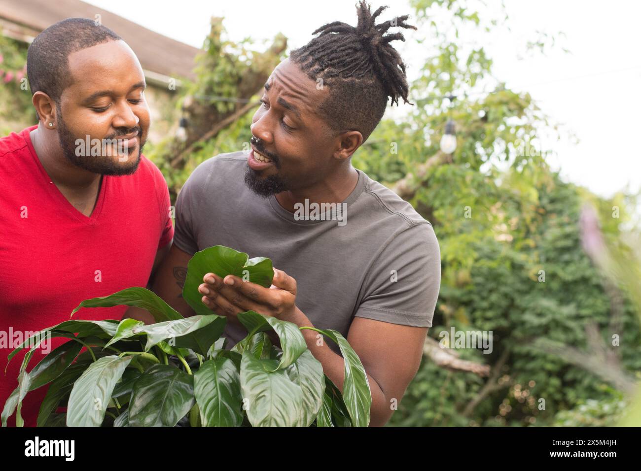 Male couple examining plant leaves Stock Photo - Alamy