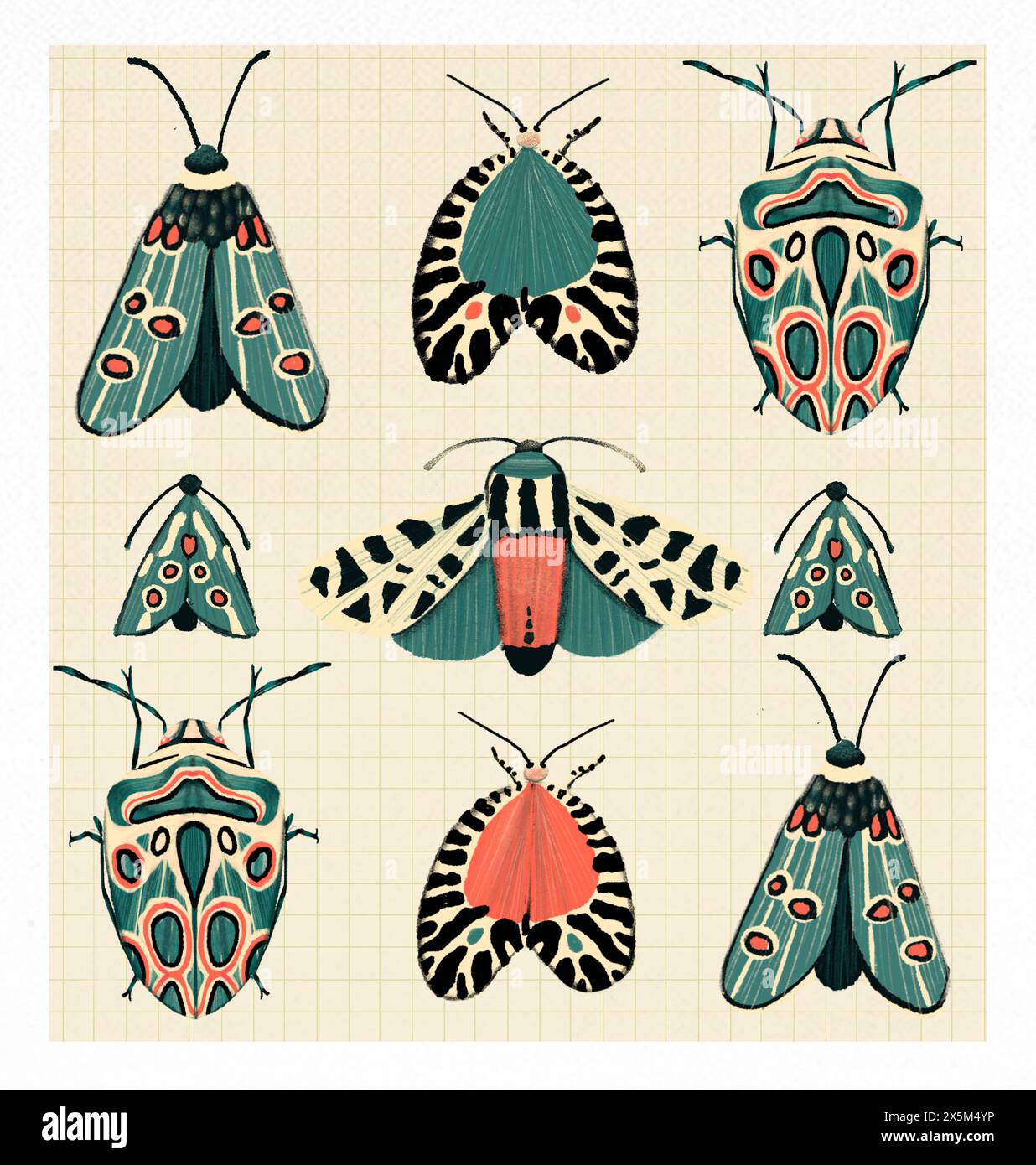 Study of moths Cut Out Stock Images & Pictures - Alamy