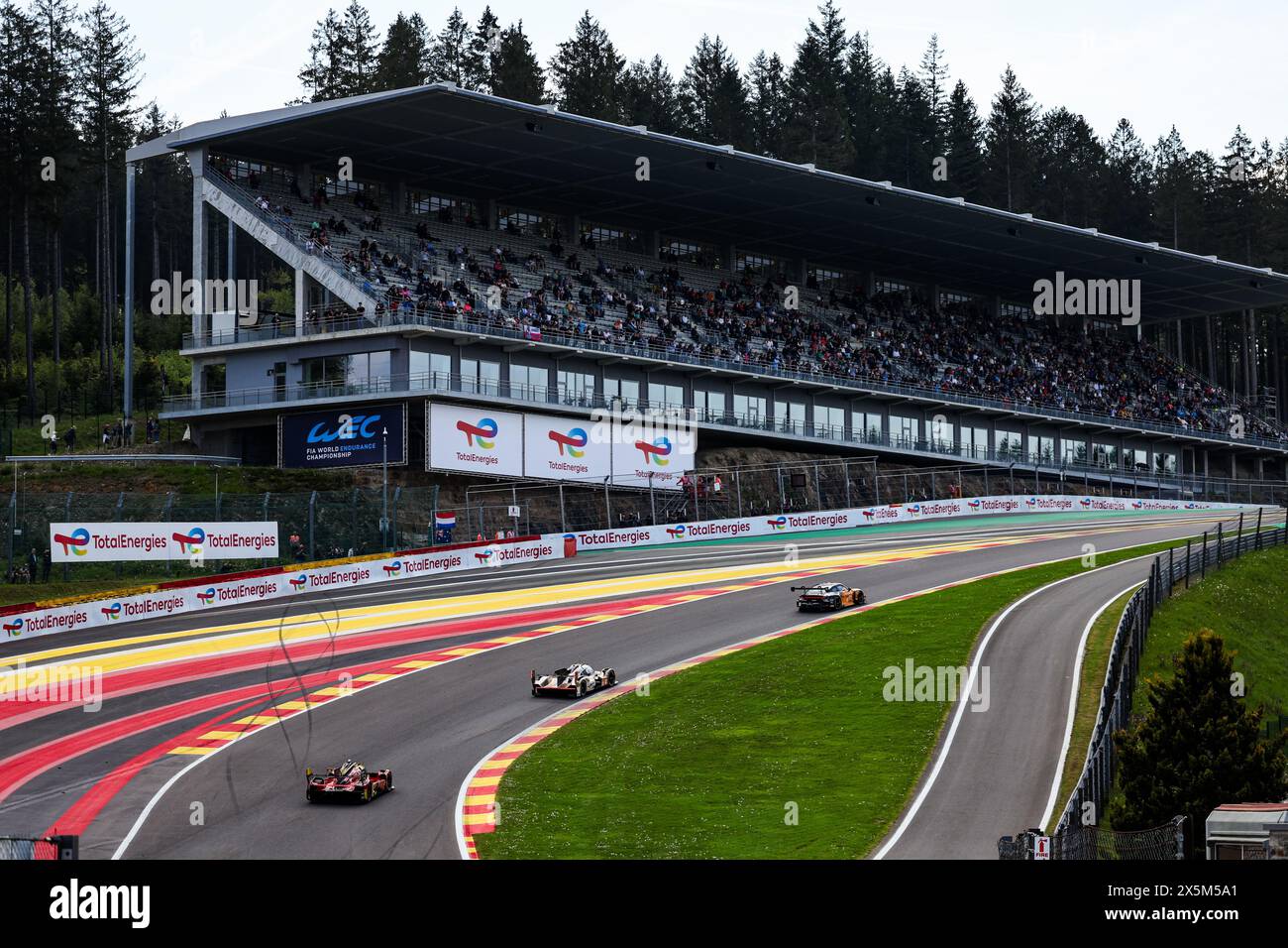 12 STEVENS Will (gbr), ILOTT Callum (gbr), Hertz Team Jota, Porsche 963 ...