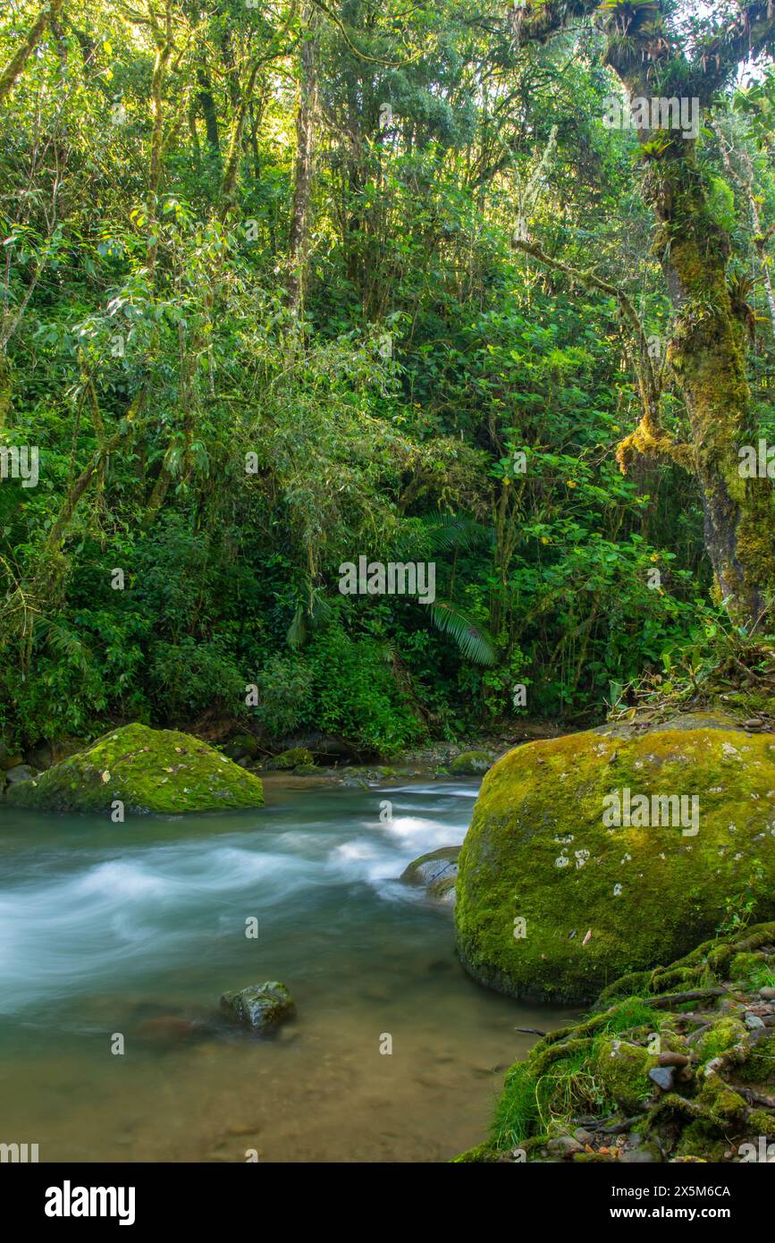 Costa Rica, Cordillera de Talamanca. Savegre River rapids Stock Photo ...