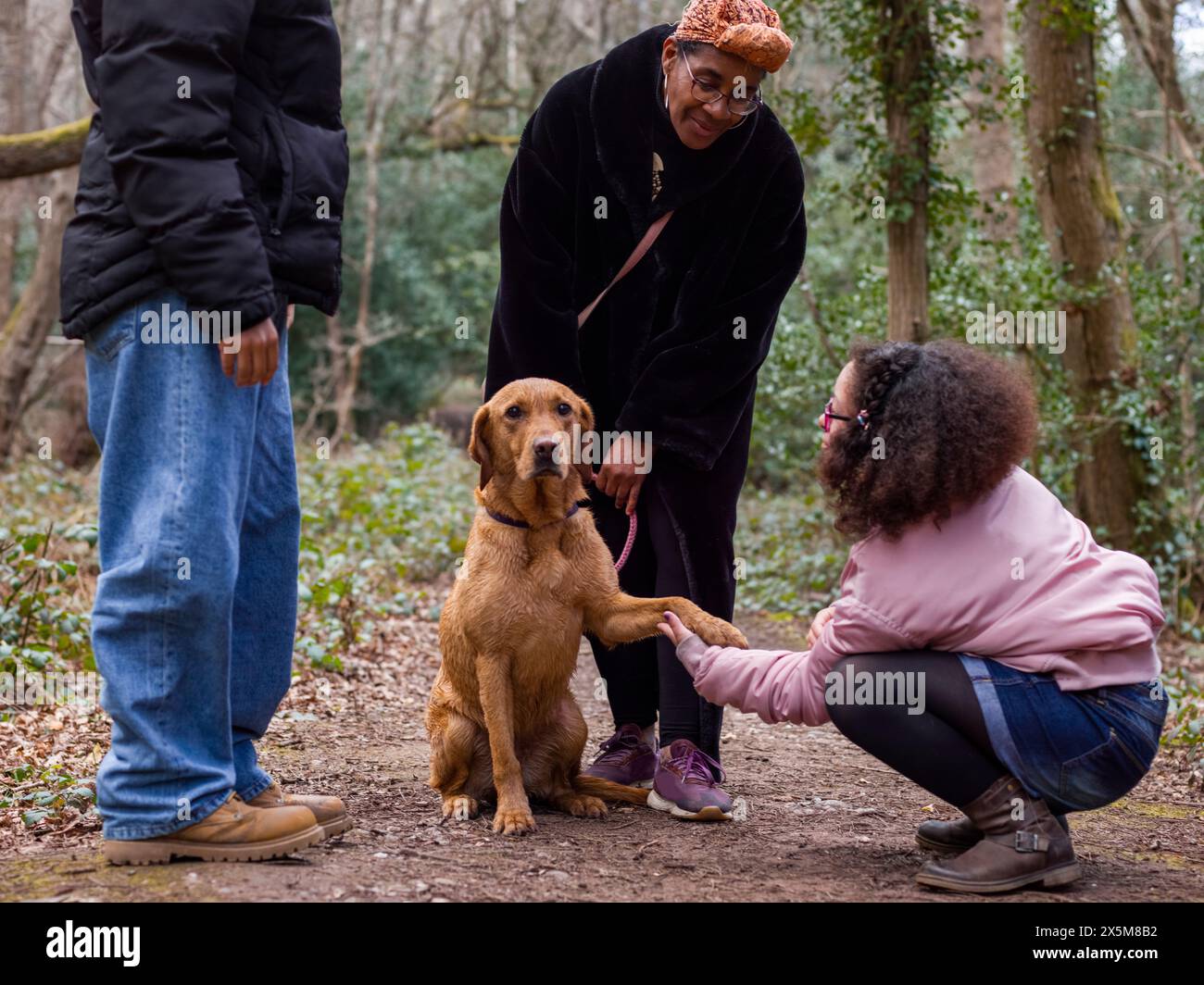 Mother with two daughters and dog in forest Stock Photo - Alamy