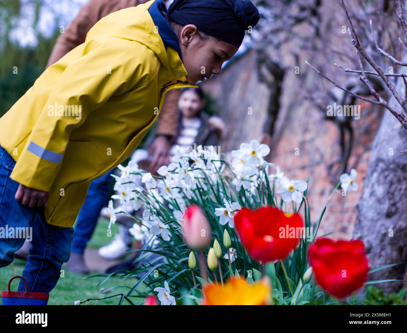 Boy looking at flowers in garden Stock Photo - Alamy