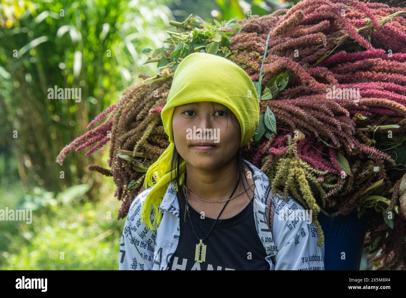 Flower Hmong woman carrying amaranth, Ma Pi Leng, Ha Giang, Vietnam ...