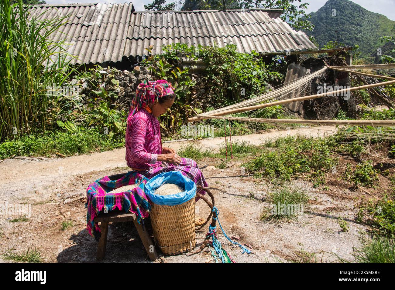 Flower Hmong woman spinning linen fibers, Ma Pi Leng, Ha Giang, Vietnam ...
