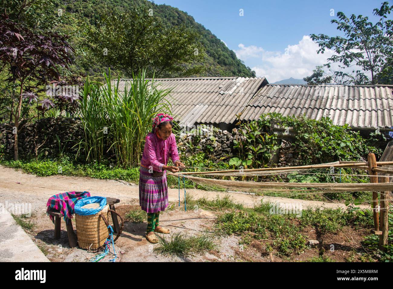 Flower Hmong woman spinning linen fibers, Ma Pi Leng, Ha Giang, Vietnam ...
