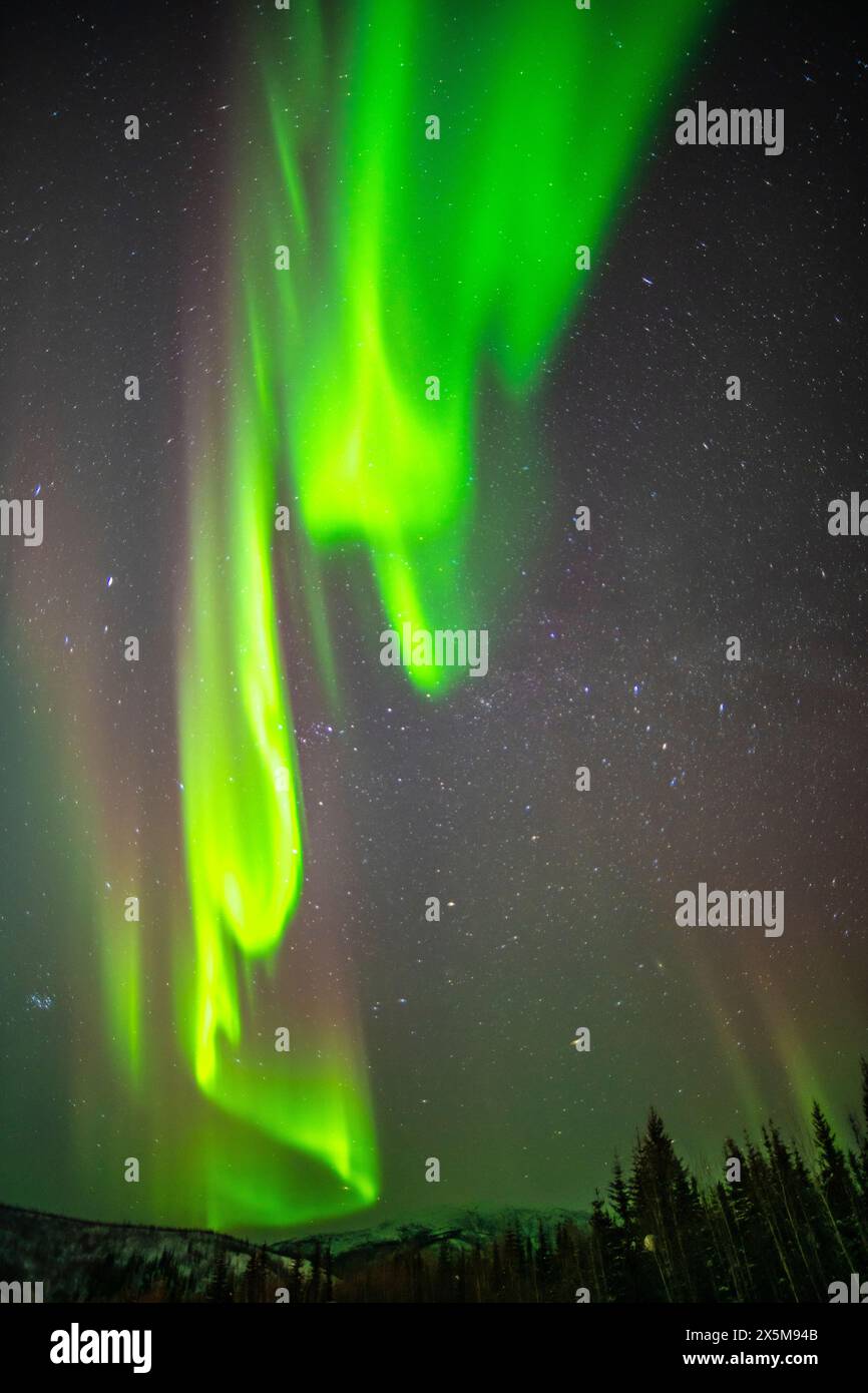 USA, Alaska, Fairbanks. Northern lights and stars Stock Photo - Alamy