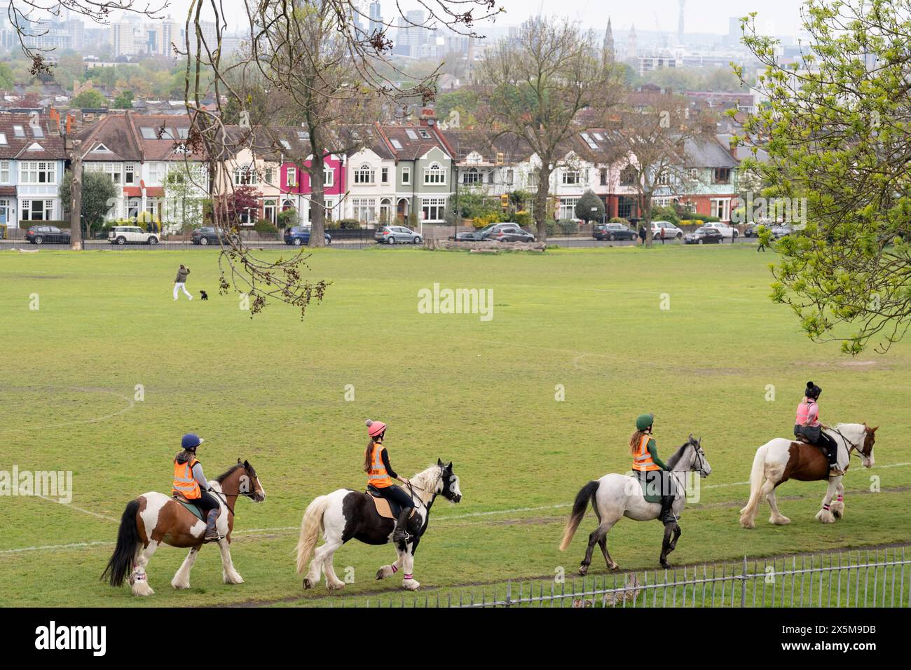 Horses and riders from the Ebony Horse Club, a local horse stable whose ...