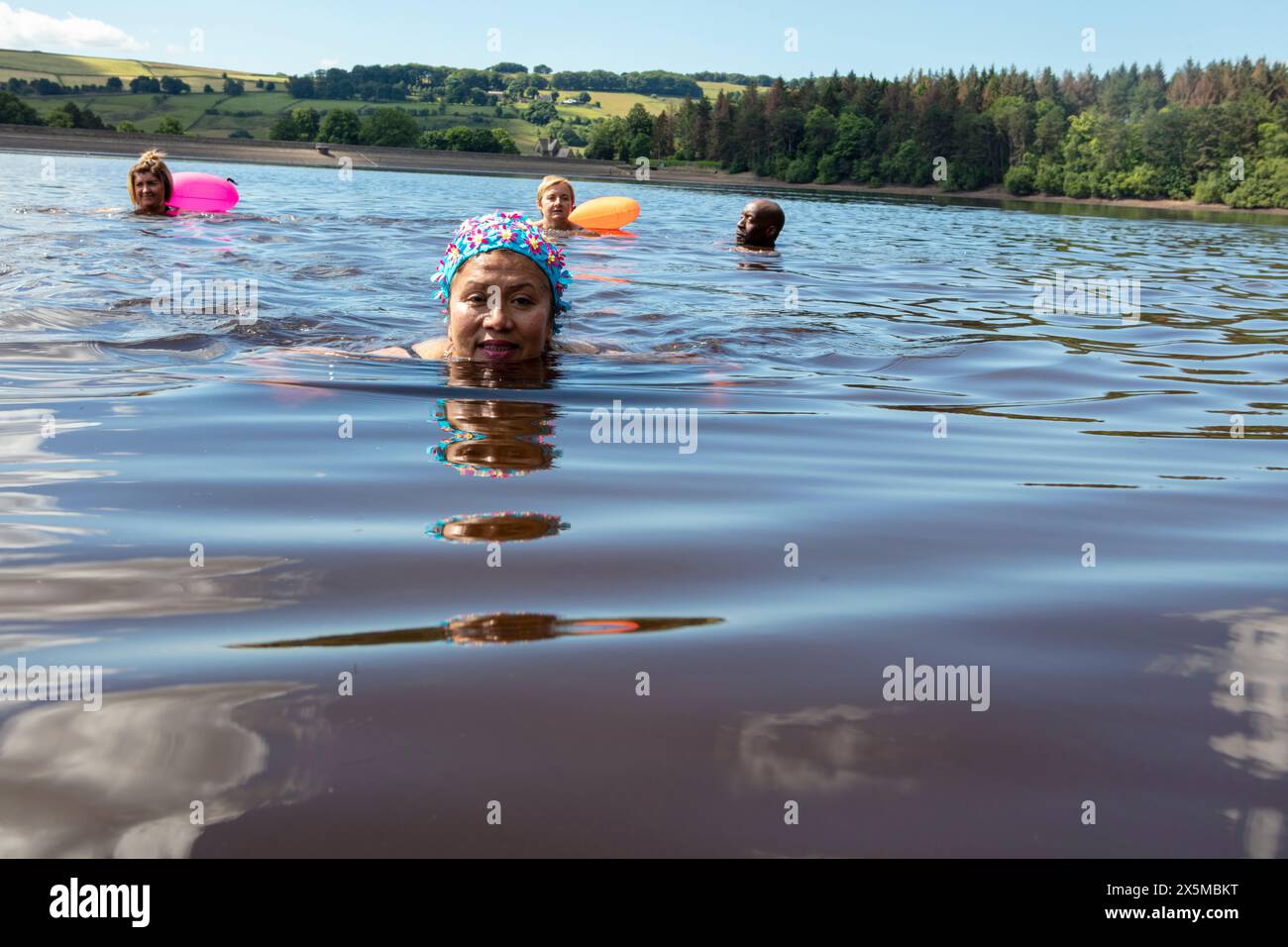 Swimming lake friends not duck not bird hi-res stock photography and ...