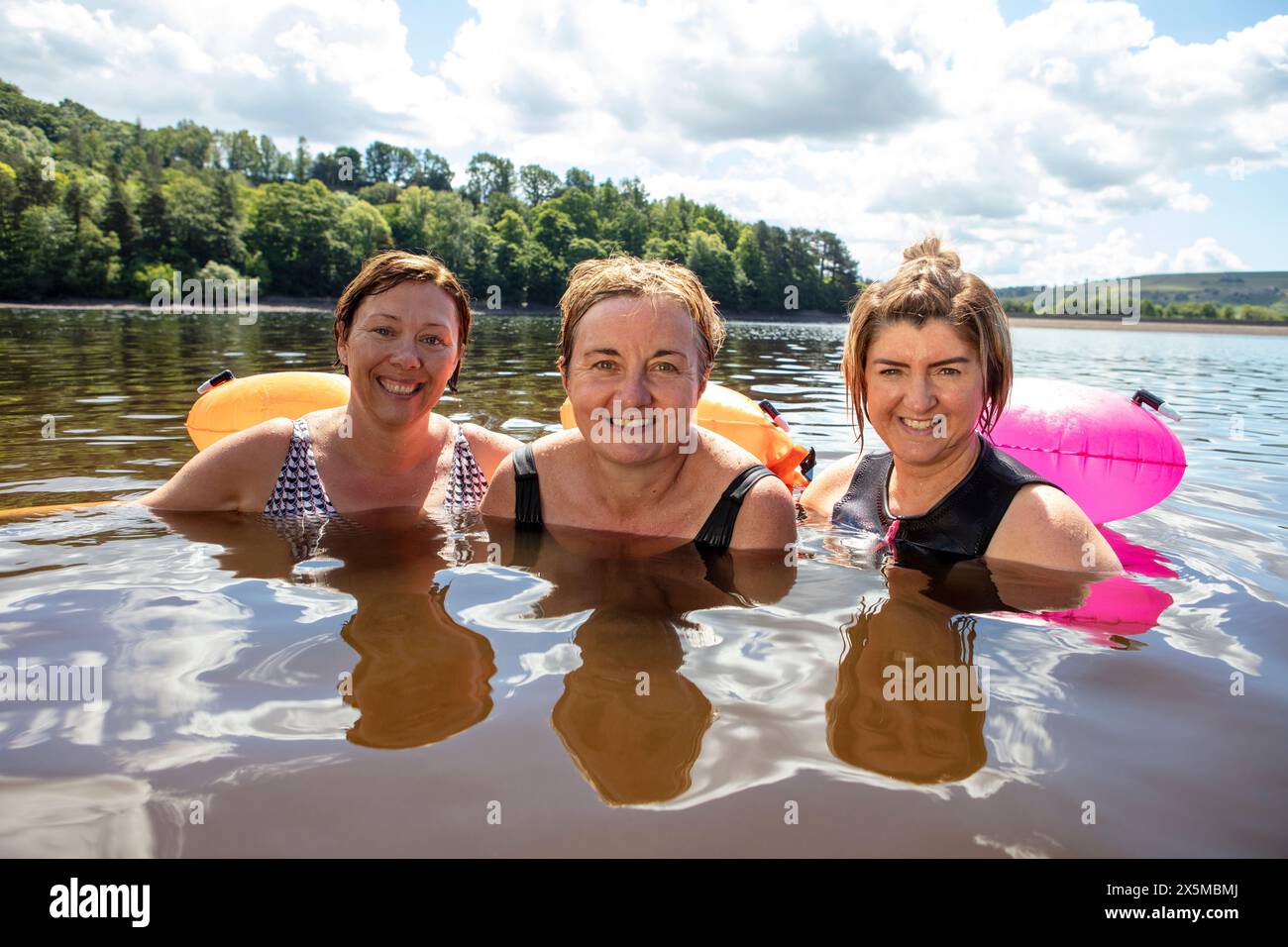 Yorkshire blond hi-res stock photography and images - Alamy