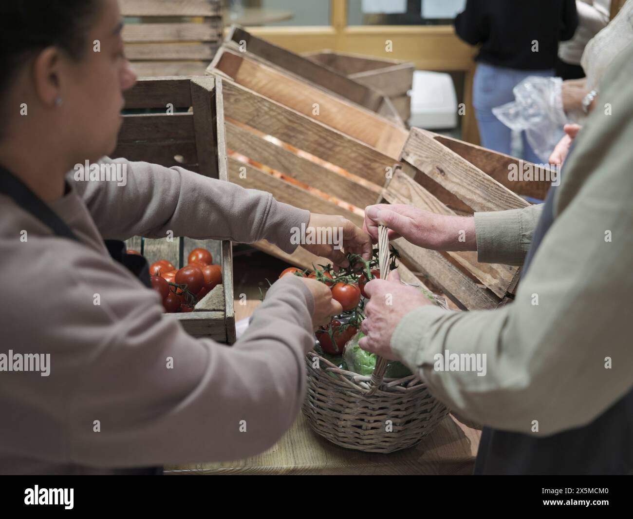 Volunteers sorting vegetables in community food center Stock Photo - Alamy