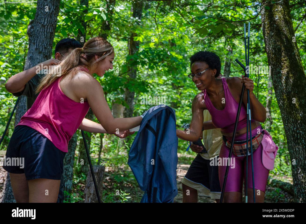 Young people setting up tent in forest Stock Photo - Alamy