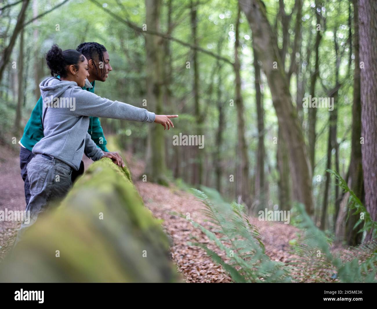 Teenage (16-17) boy and girl e,ploring forest Stock Photo - Alamy