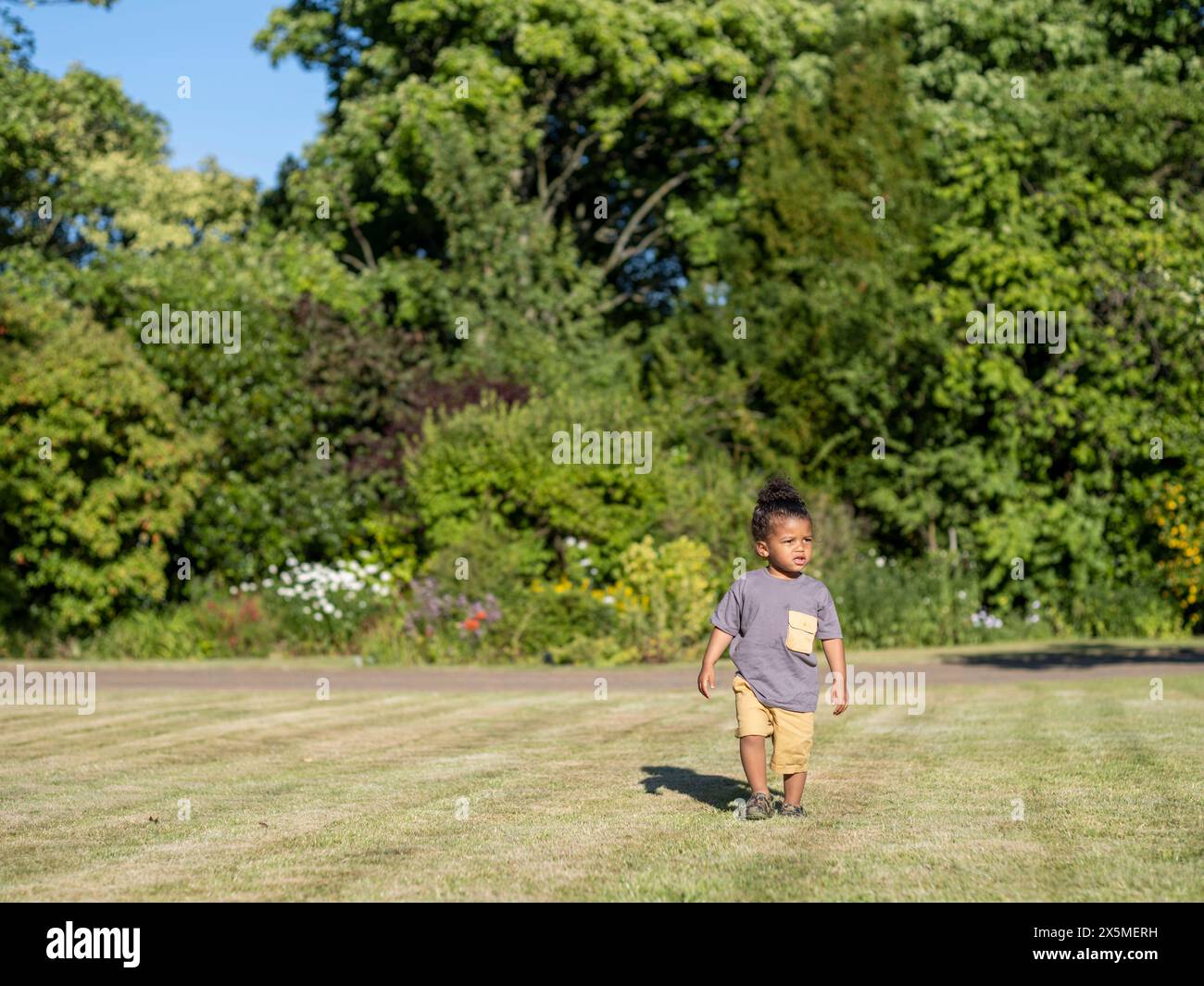 Boy on back walking hi-res stock photography and images - Alamy