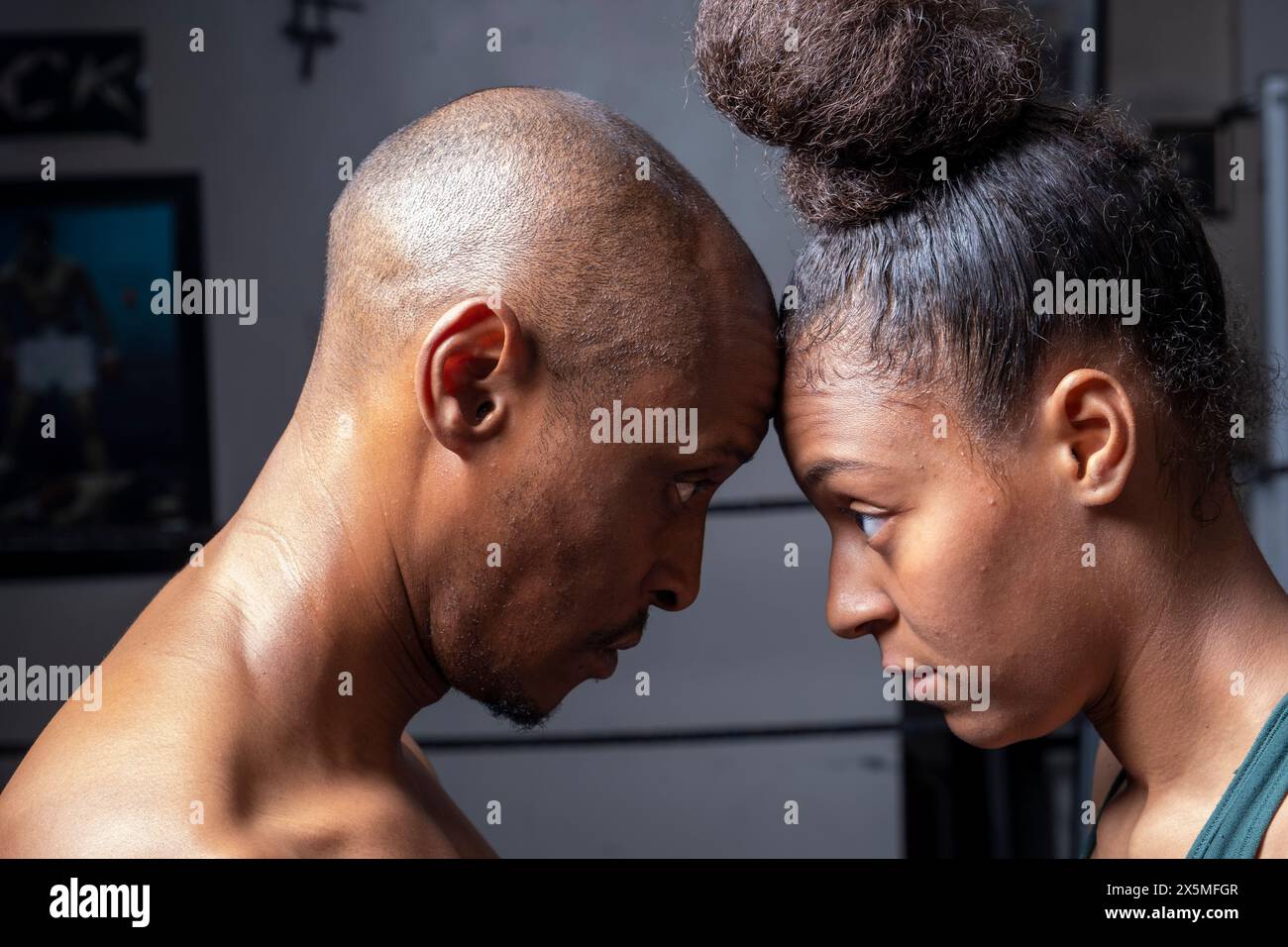 Boxing face off hi-res stock photography and images - Alamy