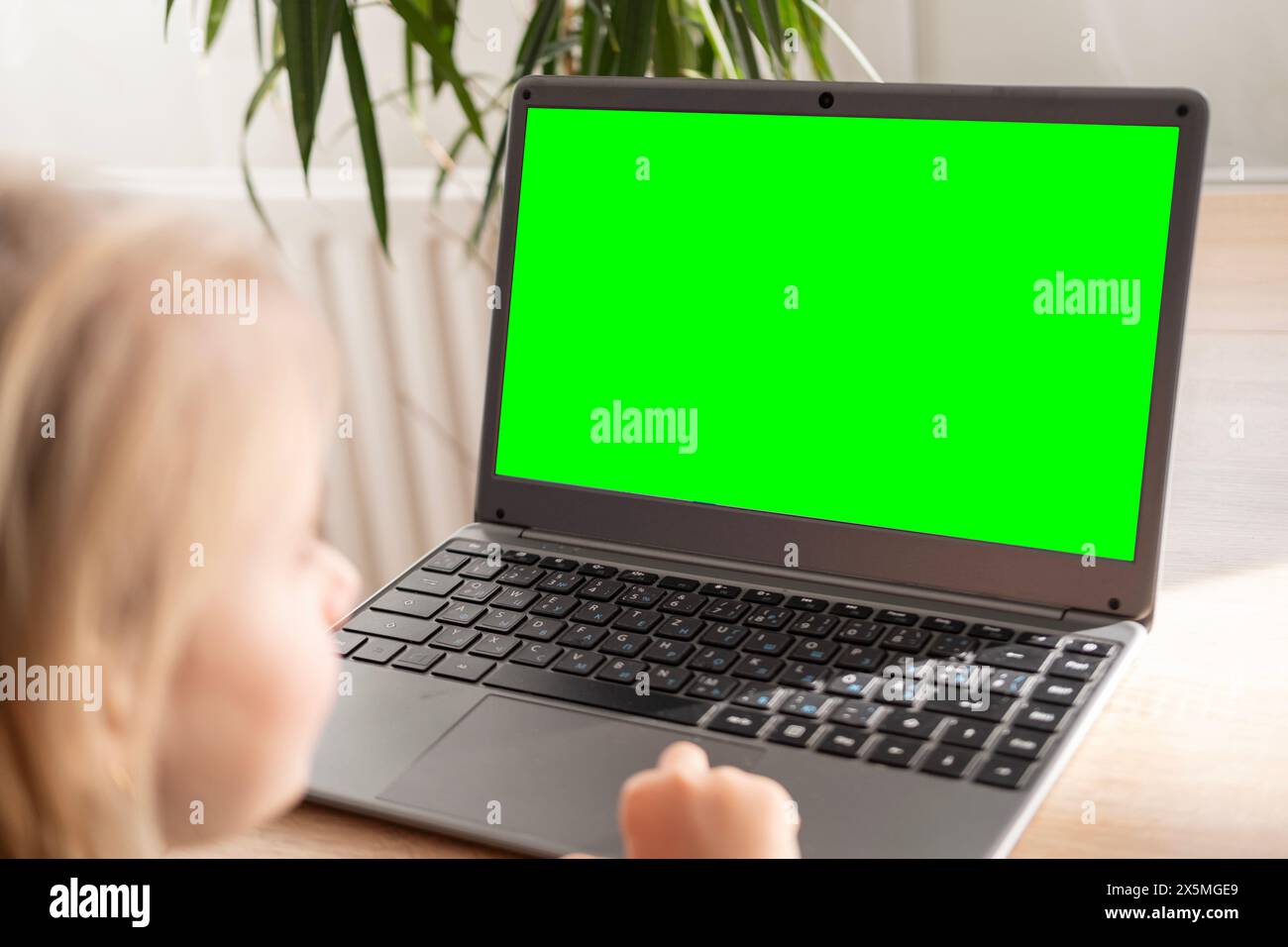 preschool girl studying distance learning course, using computer for ...