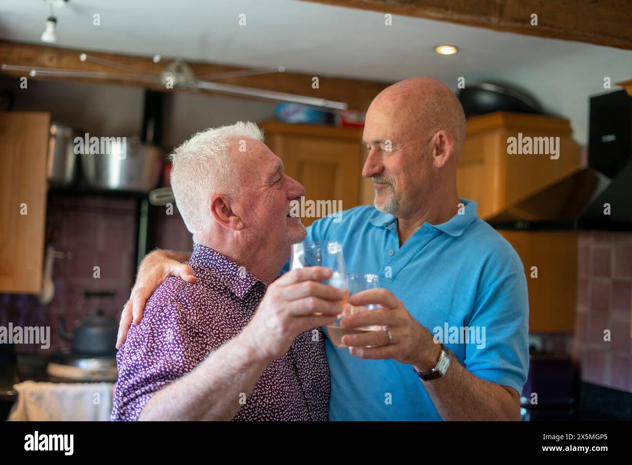 Senior male couple raising toast Stock Photo - Alamy