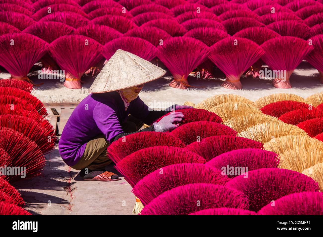 Worker drying incense in the Quang Phu Cau incense village, Hanoi ...