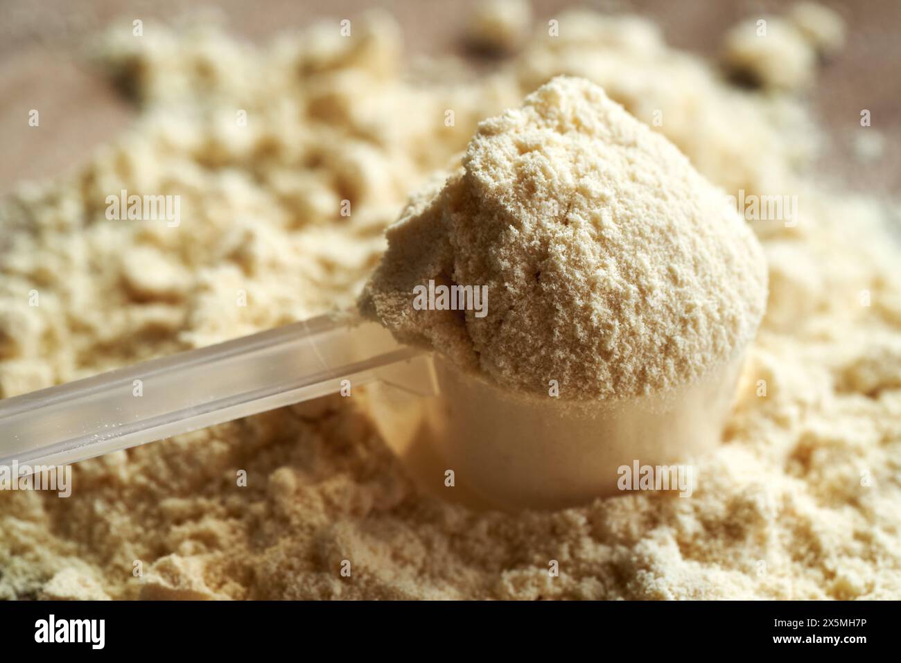 Whey protein powder in a plastic measuring spoon, close up Stock Photo ...