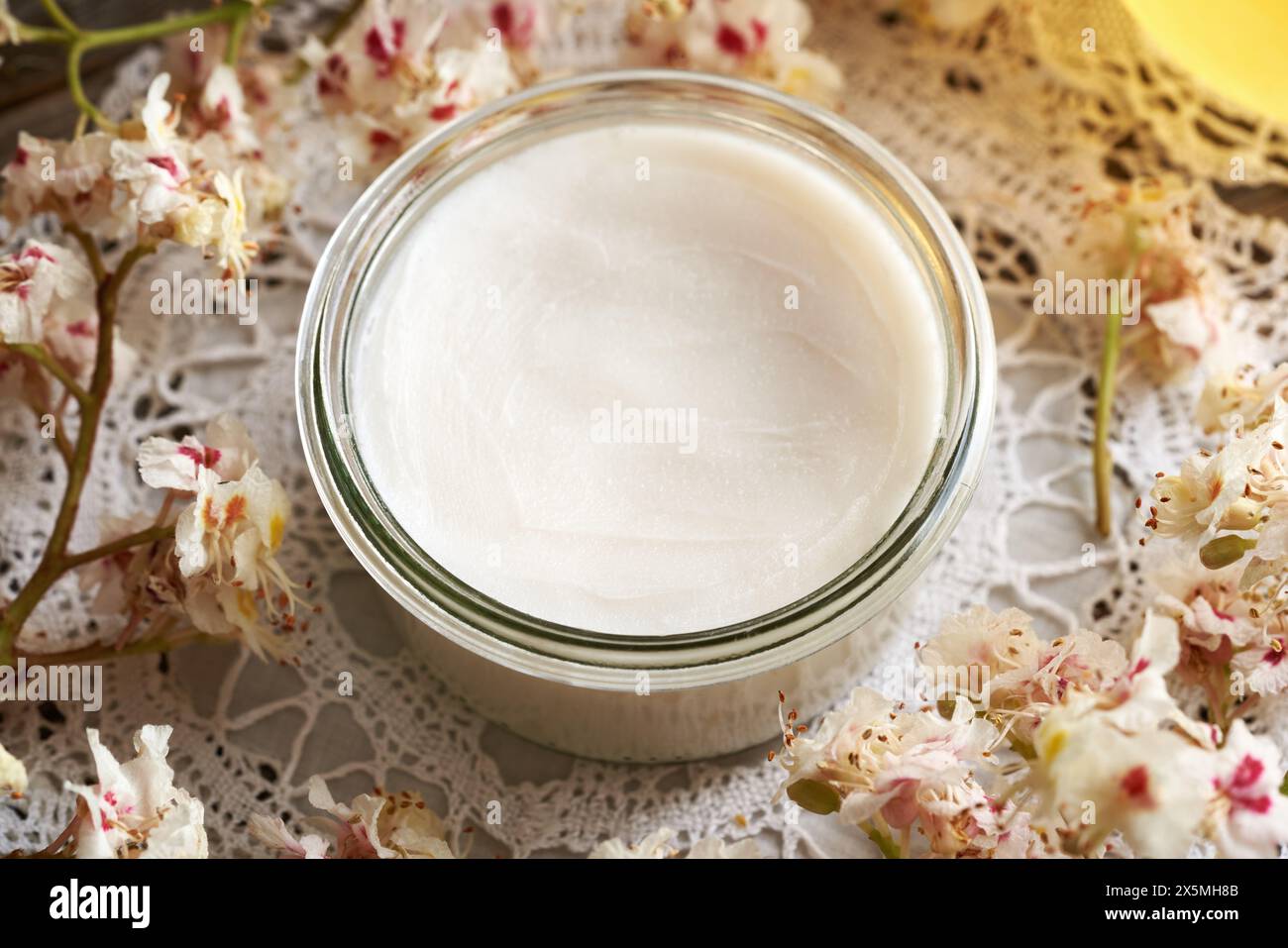 Homemade ointment for the veins made of horse chestnut flowers and ...