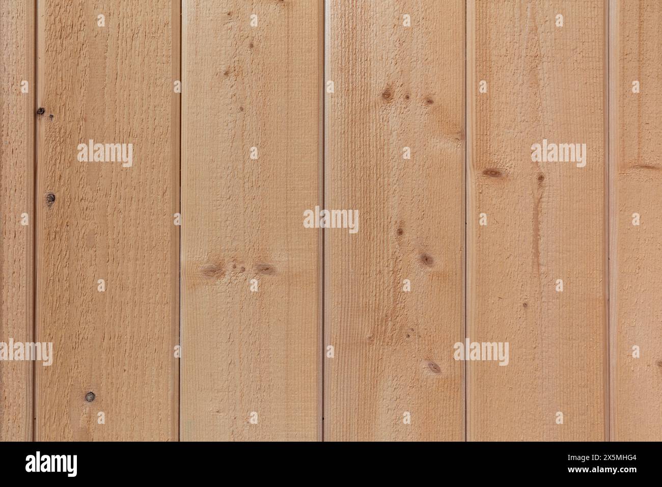 Detail of pine wood panel wall Stock Photo - Alamy