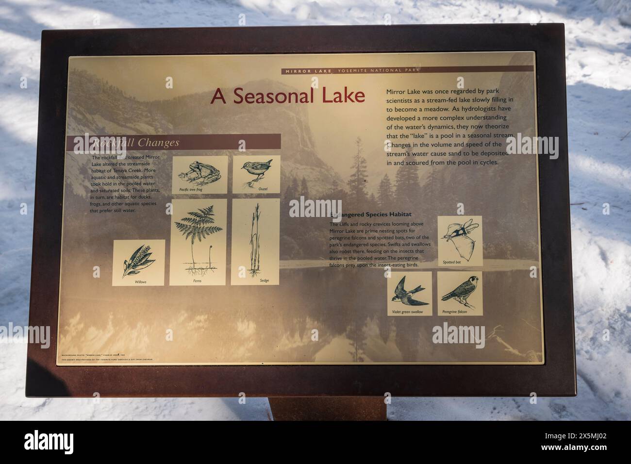 Interpretive display at Mirror Lake, Yosemite National Park, California ...