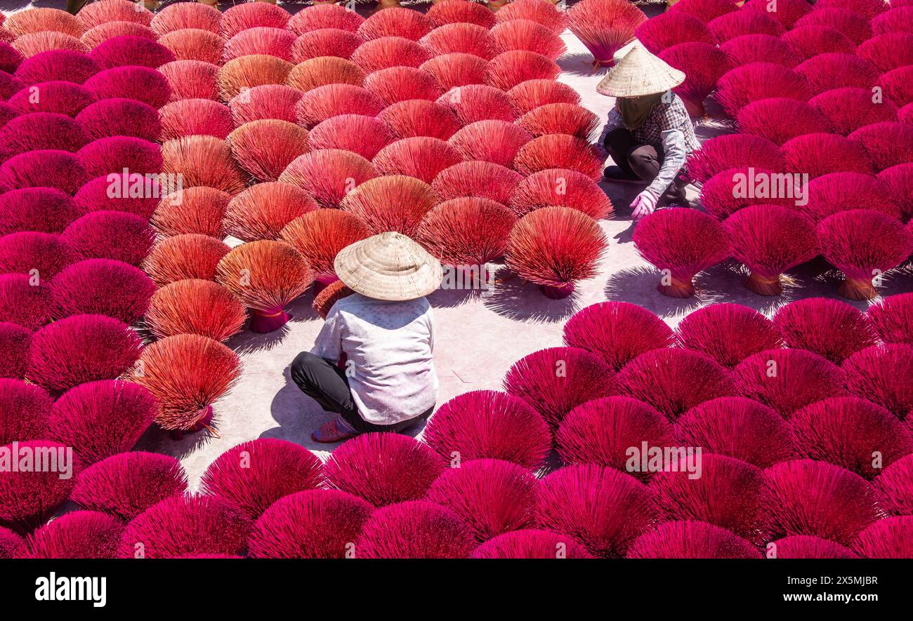 Workers drying incense in the Quang Phu Cau incense village, Hanoi ...
