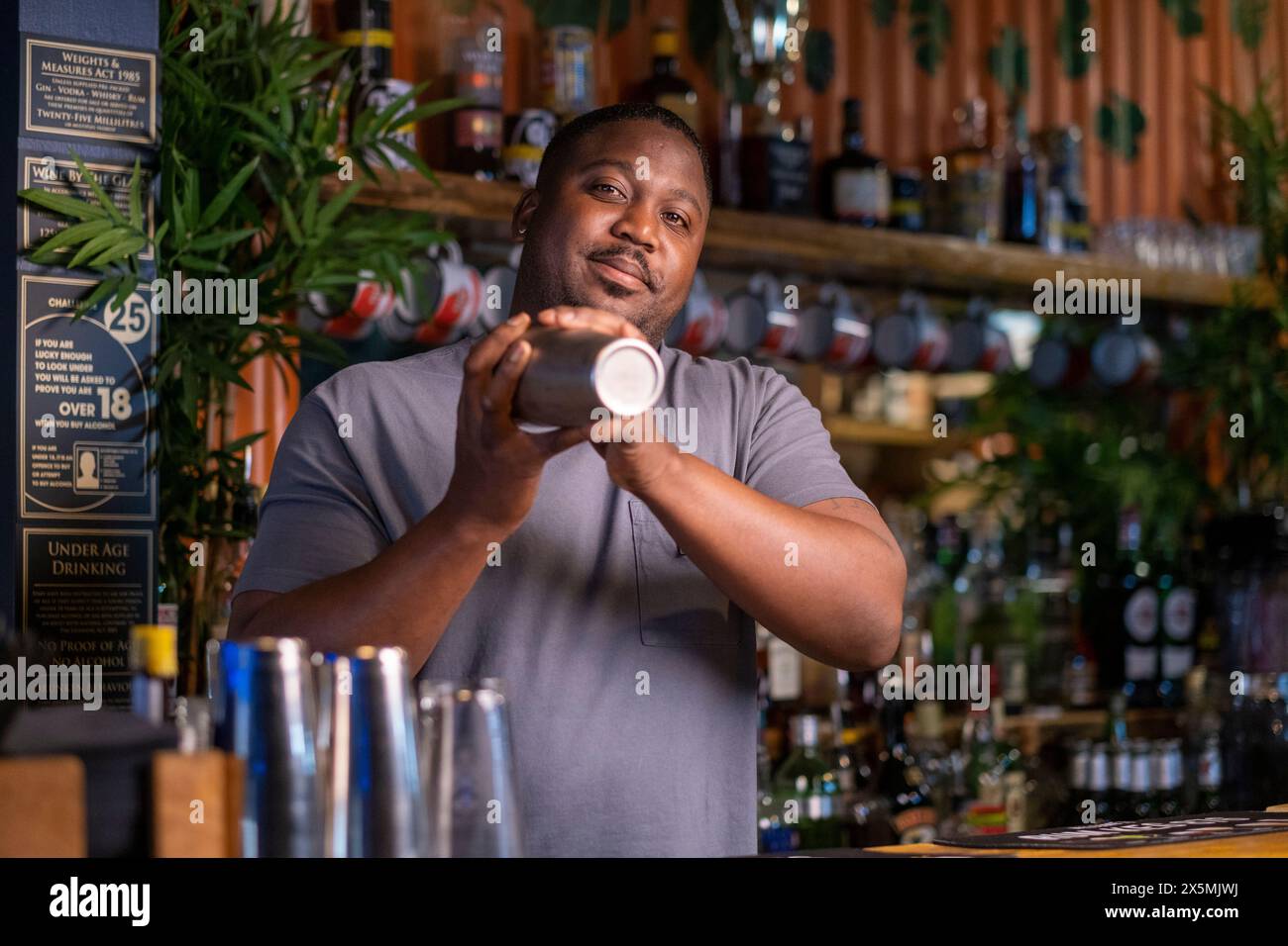 Portrait of bartender preparing cocktail at bar Stock Photo - Alamy