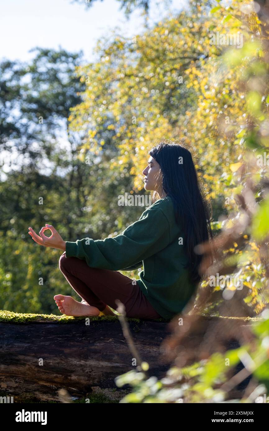 Young woman sitting on tree log hi-res stock photography and images - Alamy
