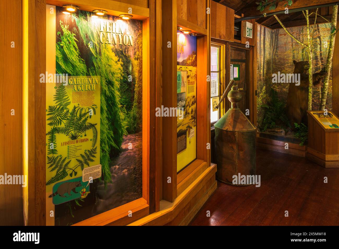 Interpretive display at the visitor center, Prairie Creek Redwood State ...