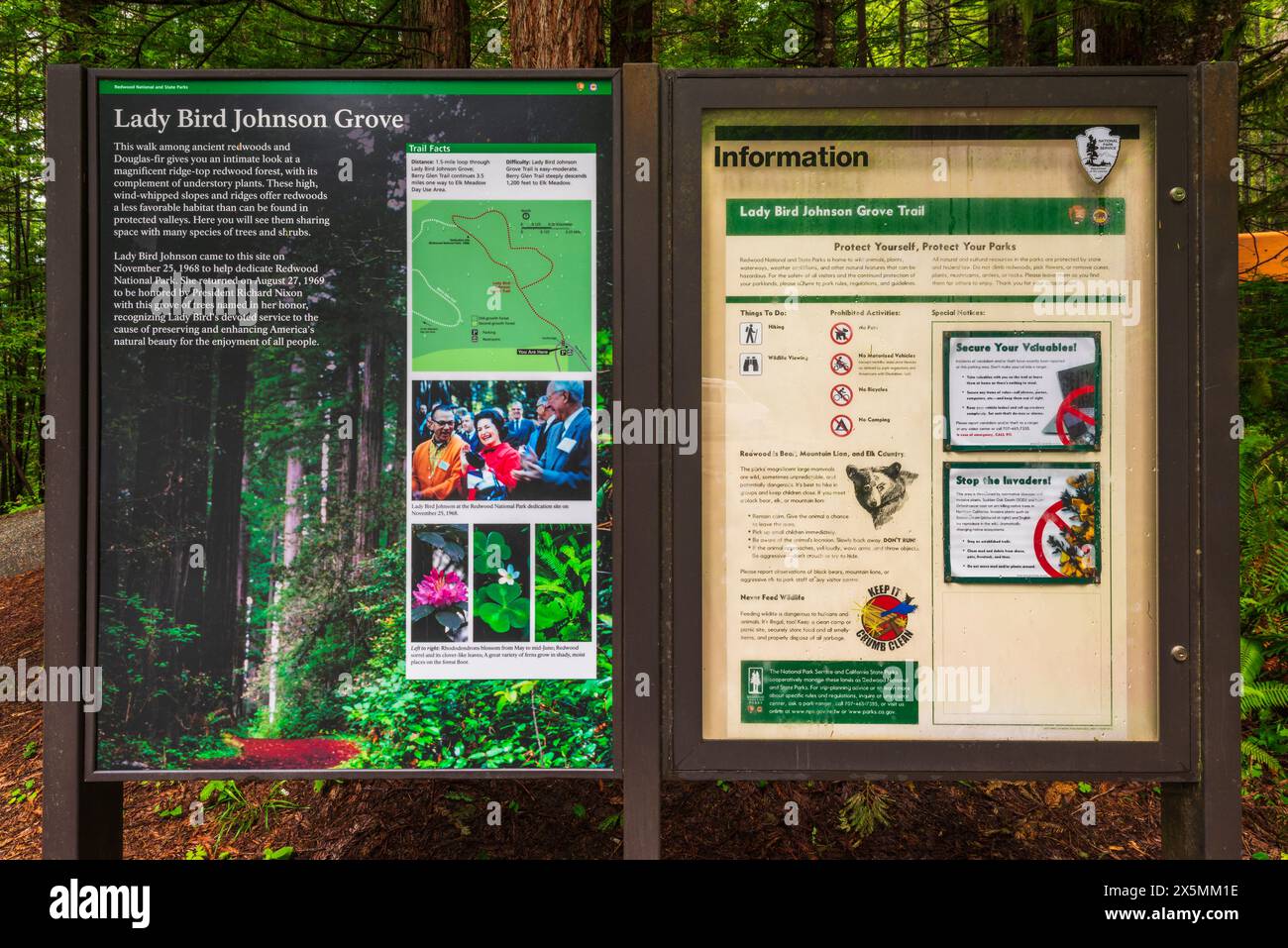 Interpretive sign, Lady bird Johnson Grove, Redwood National Park ...
