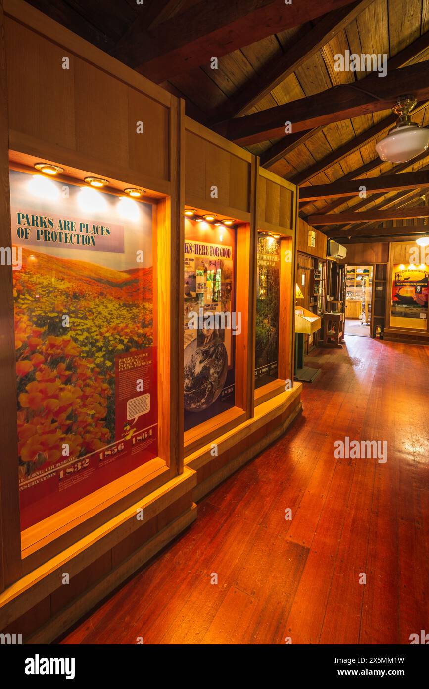 Interpretive display at the visitor center, Prairie Creek Redwood State ...