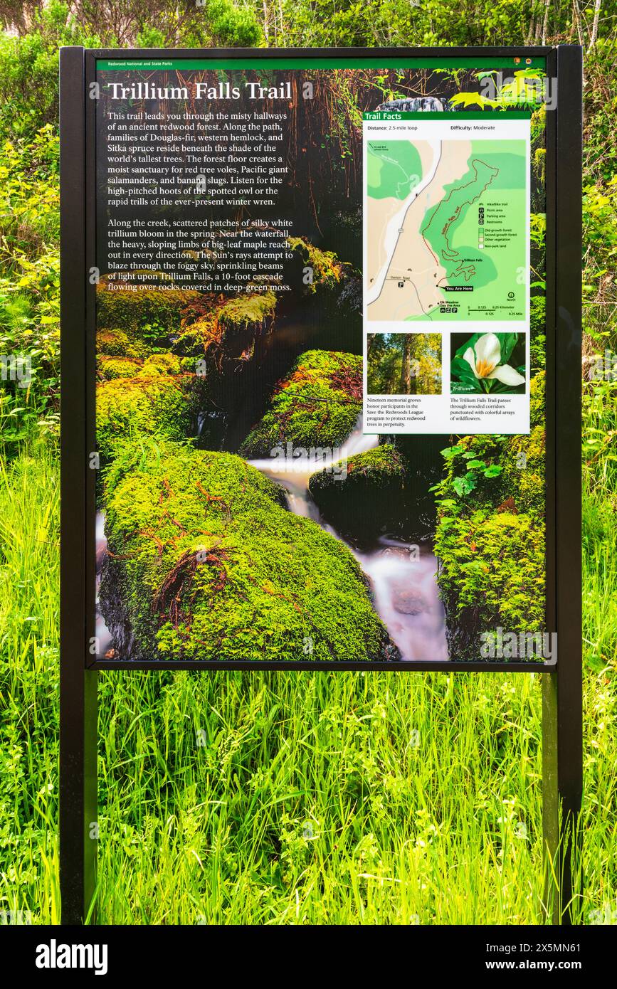 Trillium Falls Trail sign, Prairie Creek Redwood State Park, California ...