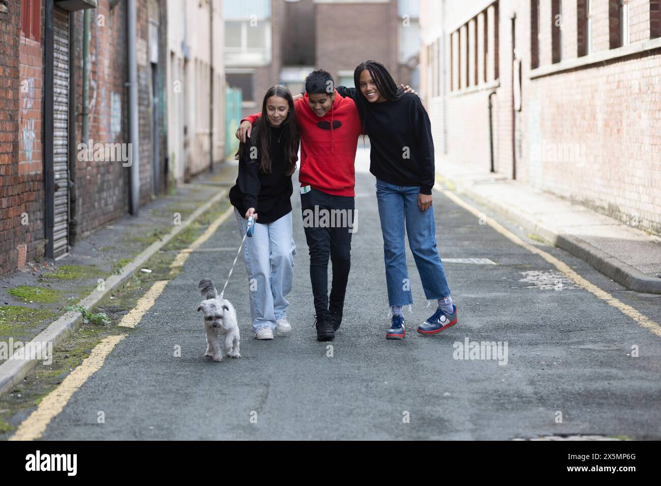 Asian street dog hi-res stock photography and images - Alamy
